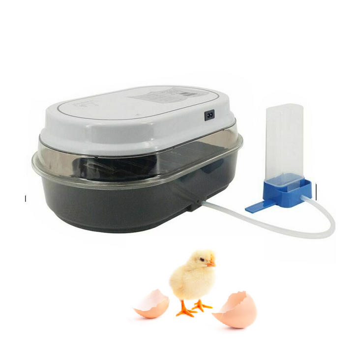 Buy Eggs Incubator - Incubating Chicken Eggs Australia For Sale ...